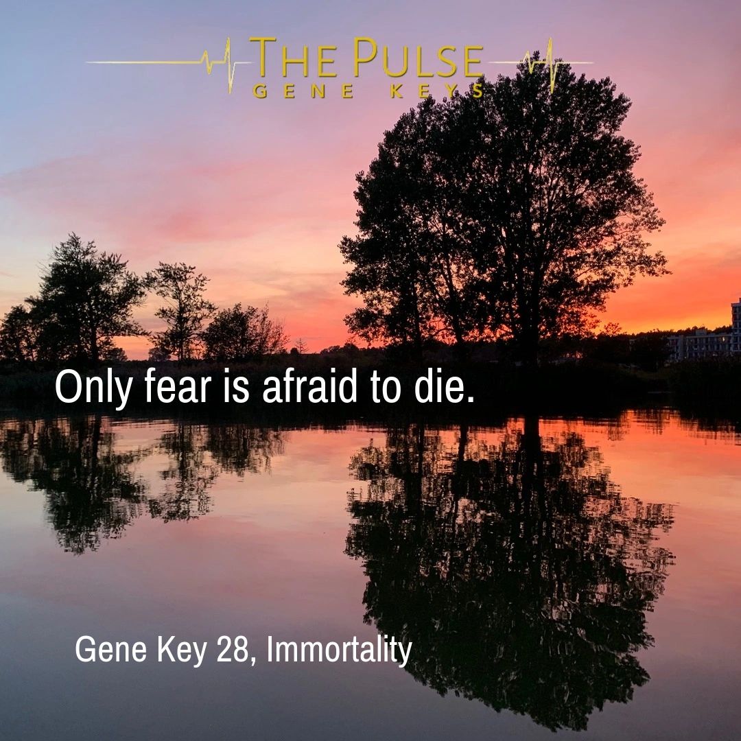 Gene Key 28: Embracing the Dark Side, Oct 25 - 31, 2023